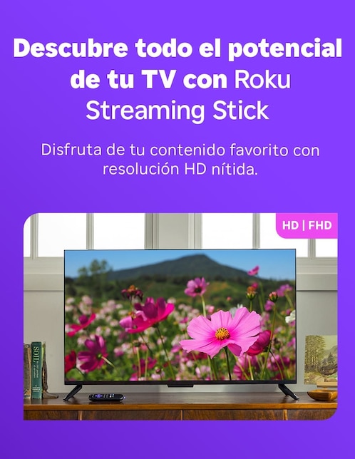 Roku 1 Roku 3840MX 2